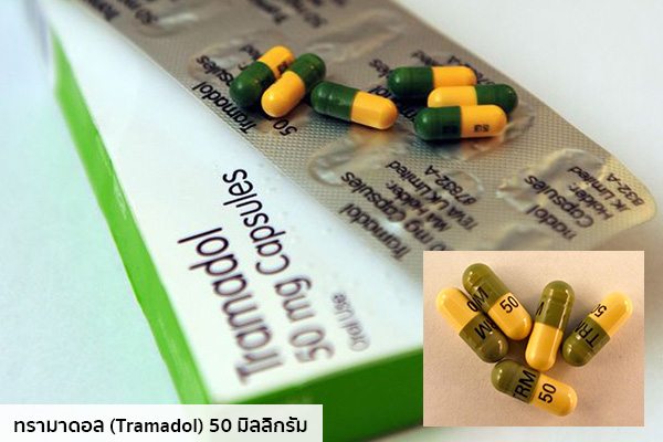 ทรามาดอล (Tramadol) สรรพคุณ วิธีใช้ ผลข้างเคียง ฯลฯ