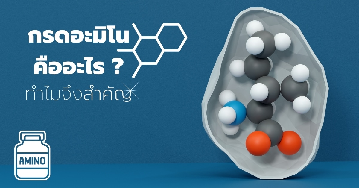 รีวิวกรดอะมิโนรวมสำหรับคนวัยทำงาน…ตัวช่วยคลายอาการเหนื่อย